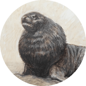 Artist Talk | David Elliot - Ashburton Museum